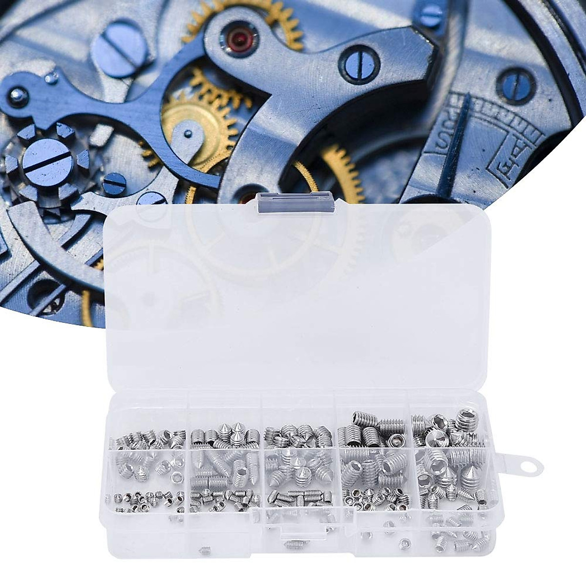 ViaGasaFamido Allen Head Socket Hex Grub Screw Cone Point Set Screw Metric 304 Stainless Steel Set Screws Bolts Assortment Kit M3 M4 M5 M6 M8 with Storage Box