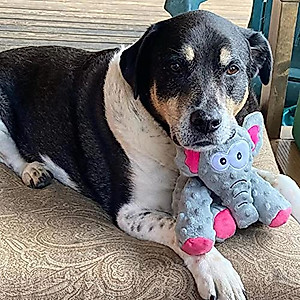 Bzonsmart Dog Toys, Squeaky Plush Dog Toy for Puppy. Small. Medium Large Dogs, Cute Soft Stuffed Toys for Teeth Cleaning and Boredom