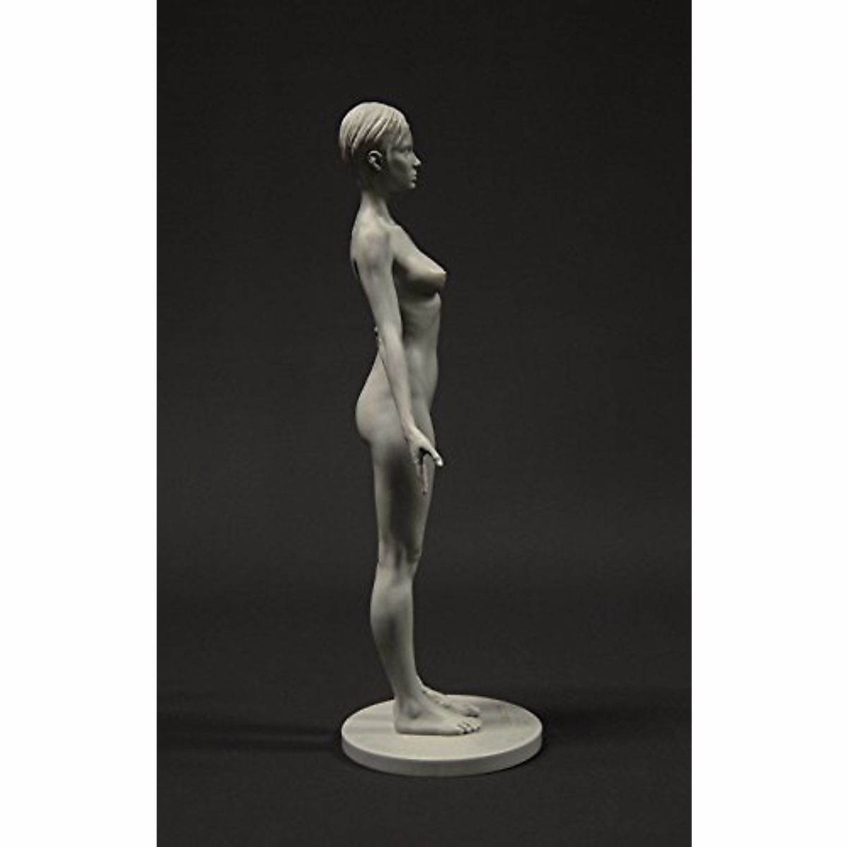 Female Anatomy Figure: 10.5-inch Anatomical Reference for Artists (Grey)