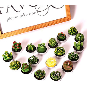 Succulent Cactus Candles (18 Styles,3 Thanks Cards&Gift Boxed) Succulent Decorative Tealights for Home Décor, SPA, Wedding, Baby Shower,Birthday Gift,Mothers Day Gifts,Christmas Gift Decor