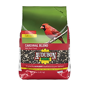 Audubon Park Cardinal Blend Wild Bird Food, Cardinal Bird Seed for Outside Feeders, 4-Pound Bag