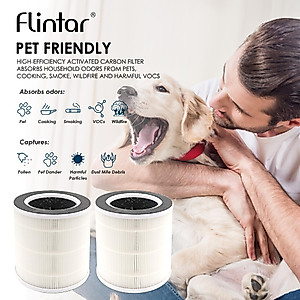 Flintar VK-6067B H13 True HEPA Replacement Filters, Compatible with Vremi and HOKEKI VK-6067B Air Purifier, 3-in-1 H13 Grade True HEPA and Activated Carbon Filter Set (2 - Set)