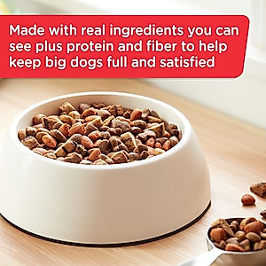 Rachael Ray Nutrish Big Life Dry Dog Food, Medium & Large Breed, Hearty Beef, Brown Rice, & Veggies, 40 Pounds