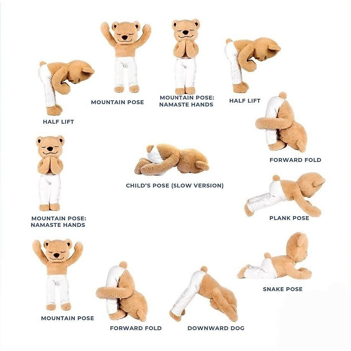 Meddy Teddy The Yoga Bear