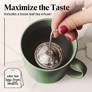 Willow & Everett Whistling Tea Kettle for Stove Top - 2.75 Quart Tea Pots for Stove Top w/Stainless Steel, Mirror Finish & Strainer