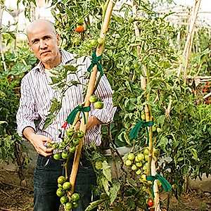 197 Ft Plant Ties for Climbing Plants, Stretching Garden Plant Tape, Soft Reusable Garden Twist Wire Strings for Tomato Cucumber Vine Plants Sapling Supports Training Staking Outdoor Indoor