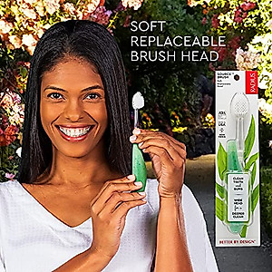 RADIUS Toothbrush Source Floss Brush BPA Free & ADA Accepted Improve Gum Health & Reduce Gum Issues - Soft - Cornstarch - Pack of 1