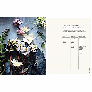 Seasonal Flower Arranging: Fill Your Home with Blooms, Branches, and Foraged Materials All Year Round