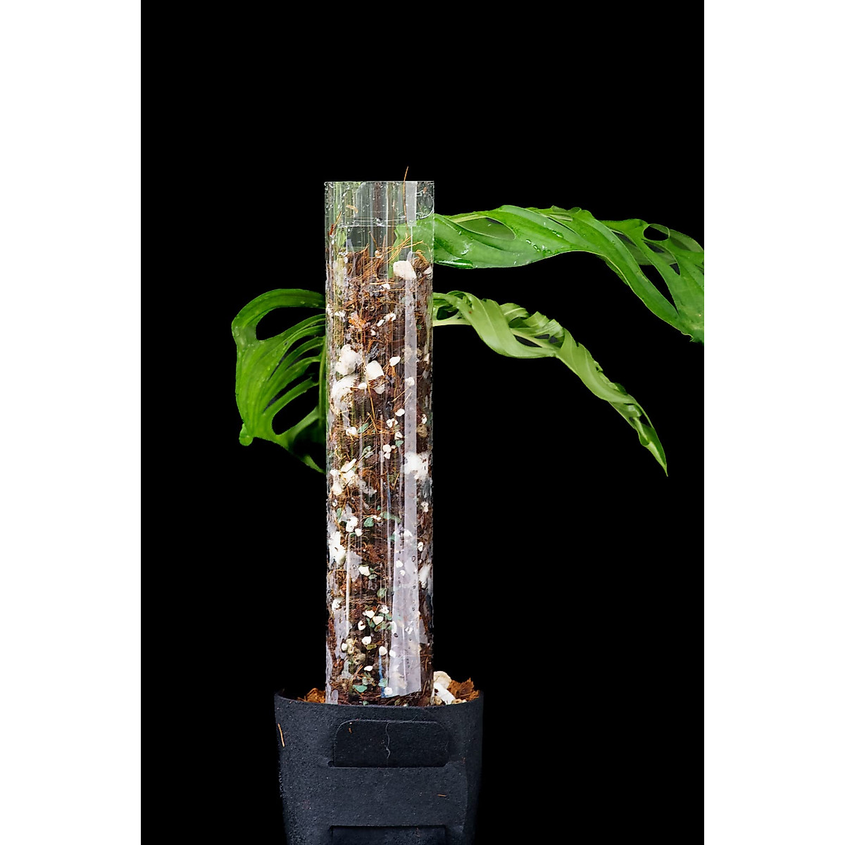 THICCLY Medium 3.0 GrowPole (5 Piece Set) Front Opening Plastic Moss Poles for Monstera