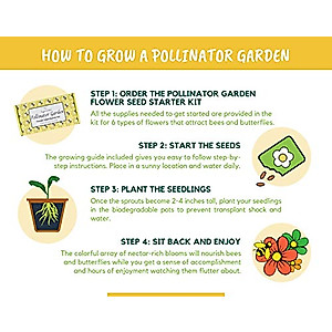 Nuggets of Nectar Pollinator Garden Flower Seed Starter Kit - Grow 6 Types of Wildflower Seeds Including Cosmos, Calendula, Bee Balm, Bachelor Button, Calliopsis and Black Eyed Susan Seeds