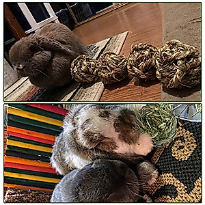 MUYG 6 Pcs Bunny Timothy Grass Ball Natural Chew Toy Woven Chewing Toys Rabbit Molar Small Animals Teeth Grinding Suitable for Hamster Totoro Gerbils Guinea Pig Squirrel