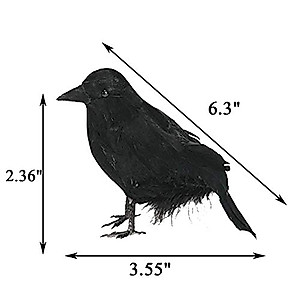 UCSAJI 6PCS Halloween Black Realistic Crow Halloween Props Black Feathered Crow Simulation Animal Model for Party Decoration