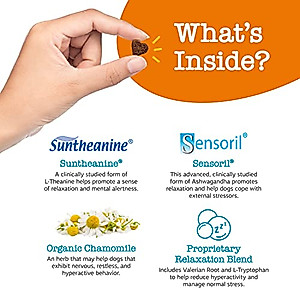 Zesty Paws Calming Chews for Dogs - Composure & Relaxation for Everyday Stress & Separation - with Ashwagandha, Organic Chamomile, L-Theanine & L-Tryptophan – Turkey Puppy - 90 Count