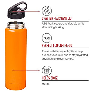 Silver Buffalo Double Walled Vacuum Insulated Stainless Steel Water Bottle, 20 Ounces, Orange