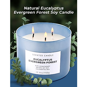 Eucalyptus Evergreen Forest Luxury 3 Wick Winter Pine Candle | Mens Candles, Scented Candles for Home | Aromatherapy Stress Relief Soy Candles 15.8 oz | Balsam Fir Woods Candles for Men & Women