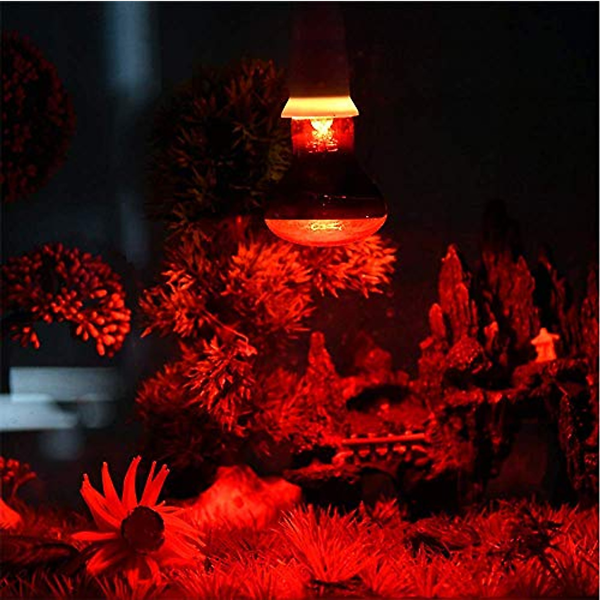 MD Lighting Pet Supplies 100w Infrared Heating Lamp 2 Pack, 110v E27 Basking Spot Light Bulbs for Reptile and Amphibian, as Bearded Dragons, Turtles, Ball Pythons, Red