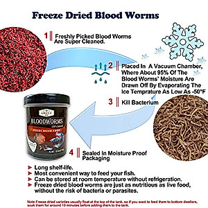 Blood Worms 1 oz -100% Natural Freeze Dried Blood Worms - Aquarium Fish Food - High Protein Food for Betta Fish, Food for Goldfish, Food for Cichlid, Food for Guppy, Food for Discus, Food for Turtle