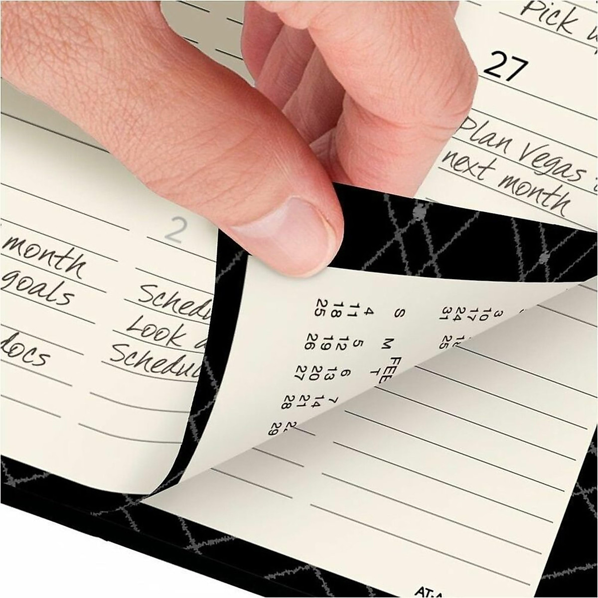 AT-A-GLANCE 2022 Weekly & Monthly Appointment Book & Planner by AT-A-GLANCE, 8-1/2" x 11", Large, Lacey (541-905)