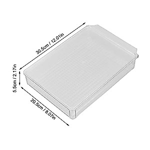 HOLPPO Pantry Storage Bin,Durable Plastic Pantry Storage Container,with Lid Large Capacity Transparent Food Grade Portable Durable Multifunction Pantry Containers(12.1in-Transparent)