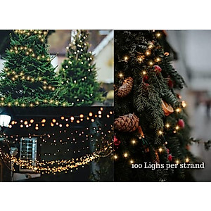 FAIRYTALE LIGHTING MAGIC TWINKLE, SOFT TWINKLE STRING LIGHTS 100 LED (WARM WHITE) 36 FT, Plug in, Connectable Waterproof Green Wire, Christmas Tree Decorations Indoor Outdoor Patio Yard Garden Wedding