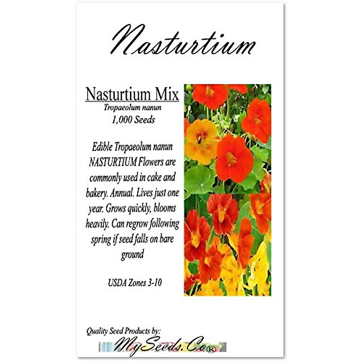 PETBROO Big Pack - Nasturtium Flower Seed Mix (1,000) - Edible Tropaeolum nanum - Spurred, Flat-Faced Trumpet - Used in Cake & Bakery - Flower Seeds by MySeeds.Co (Big Pack - Nasturtium Mix)