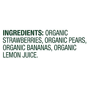 Sprout Strawberry Pear Banana Organic Baby Food 3.5 oz Pack of 12