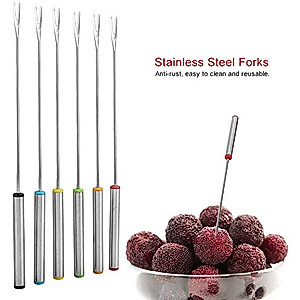 Fondue Sticks 6pcs Stainless Steel Smores Sticks with Heat Resistant Handle for Cheese Meat Chocolate Dessert Roast