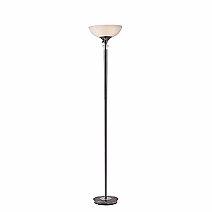 Adesso Home 5120-01 Transitional Two Light Floor Lamp from Metropolis Collection Finish, Black Nickel