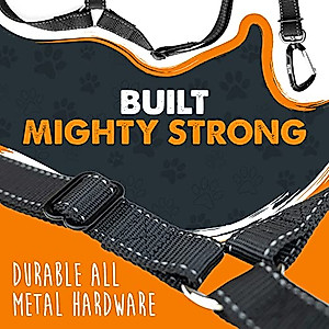 Mighty Paw Dog Seat Belt | Headrest Dog Seatbelt Tether, Pet Seat Belt for Car, Dog Car Leash, Dog Safety Belt for Car, Seatbelt for Dog in Car, Dog Seat Belt for Car, Dog Car Seat Belt Large - Puppy