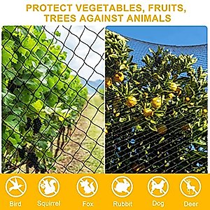 Bird Net 25'x50' with 1" Mesh Nylon Bird Netting for Garden, Poultry Netting Heavy Duty Aviary Netting Chicken Coop Netting, Garden Netting Deer Fence Netting for Fruit Tree, Pests Trellis Net