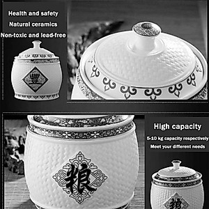 YISHUOYZBS Food Storage Containe Rice Storage Containe Classic Airtight Grain Jar with Lid Large-Capacity Ceramic Rice Bucket Hand-Made Cereal Dispensers in The Kitchen Home Decoration-12.5KG