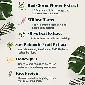 Reviv3 Procare PREP Cleanser Shampoo ââ‚¬â€œ Clinically Tested ââ‚¬â€œ Hair and Scalp Care Anti-Thinning and Fine Hair Cleansing Shampoo ââ‚¬â€œ Color Safe ââ‚¬â€œ All Hair Types ââ‚¬â€œ For Women and Men 25.4 fl. oz