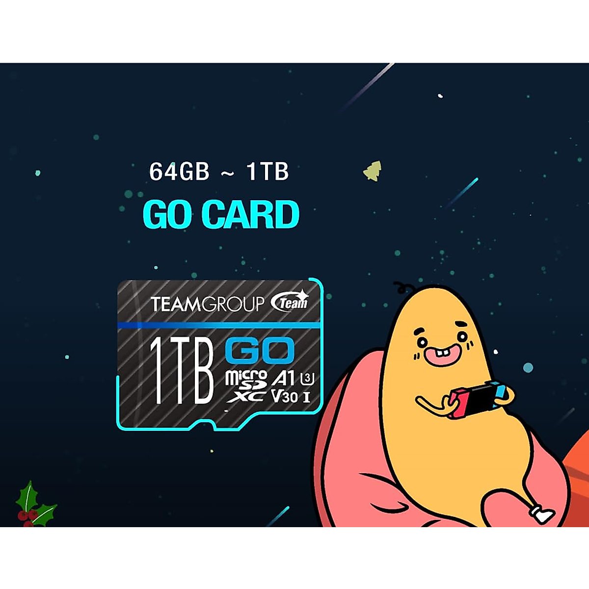 TEAMGROUP GO Card 512GB 2 Pack Micro SDXC UHS-I U3 V30 4K, R/W up to 100/90 MB/s for GoPro & Drone & Action Cameras High Speed Flash Memory Card with Adapter for 4K Shooting TGUSDX512GU364