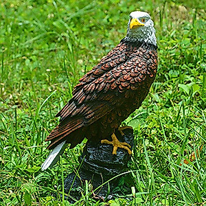 11 Inch Bald Eagle Garden Statue Bald Eagle Resin Statue Simulation Animals Statue Simulation Eagle Garden Sculpture & Statue for ndoor Outdoor Garden Office Ornament Home Décor