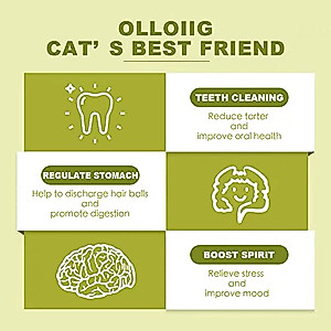 olloiig 12pcs Interactive Cat Toys Set, Squeaky Crinkle Catnip Cat Toy Pack, SliverVine Catnip Sticks and Catnip Wall Balls for Dental Health, Plush Chew Toy for Kitten Cat Gift…