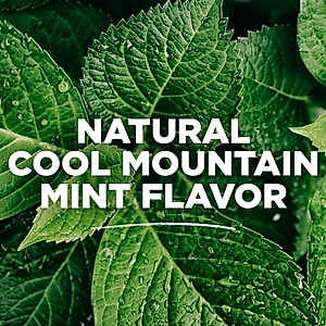 Tom's of Maine Natural Wicked Fresh! Alcohol-Free Mouthwash, Cool Mountain Mint, 16 oz. (Packaging May Vary)