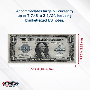 BCW Large Bill Currency Sleeves - 100-Pack | Acid-Free, Archival Safe Polypropylene Sleeves for Collectible Currency | Clear Money Protectors for Storage and Display | Large US Currency Holders
