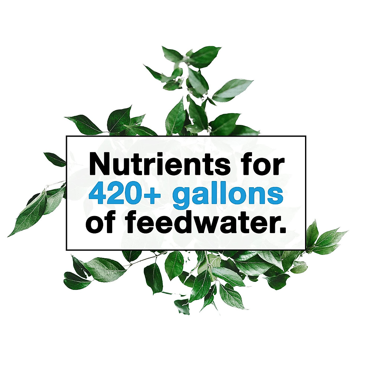 TPS-One Liquid One Part Nutrient from Veg to Bloom, Plus Signal Terpene Enhancer and Canopy Boost Foliar by TPS Nutrients