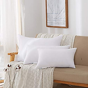 Acanva Throw Pillow Inserts, Couch Pillow Inserts with Hypoallergenic Polyester, 12" L x 20" W