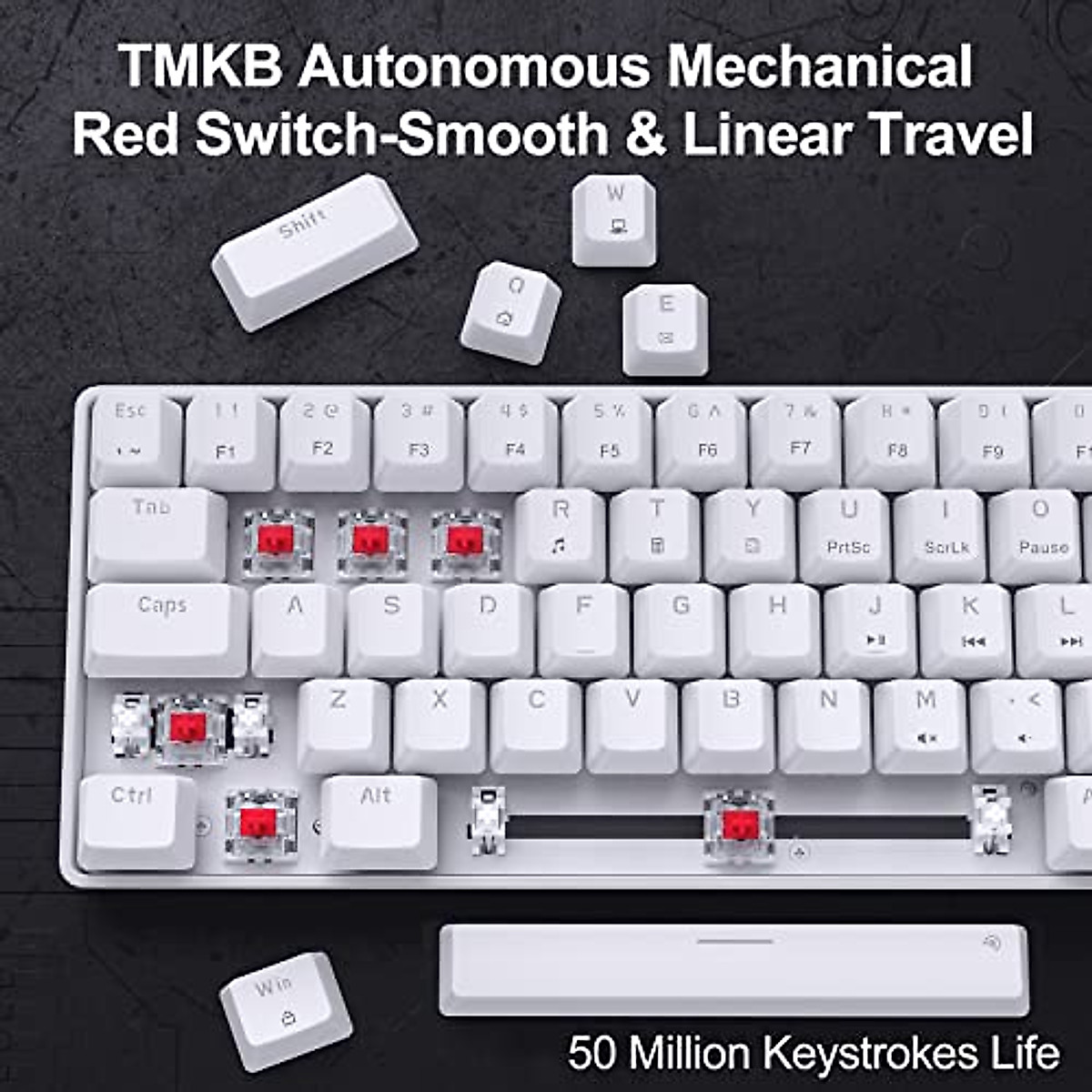 DIERYA T68SE 60% Gaming Mechanical Keyboard,Ultra Compact Mini 68 Key with Red Switches Wired Keyboard,Anti-Ghosting Keys, for Windows Laptops and PC Gamers,White