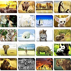 Outus 60 Pieces Wild Animal Postcards Animal Themed Blank Postcards Pandas Lions Polar Bears Penguins Elephants Giraffes Animal Greeting Postcards for Kids Teachers, 4 x 6Inches, 20 Styles