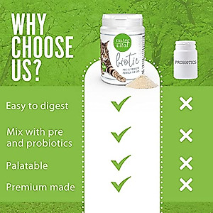 NutraVital - Biotic for Cats, Cat Probiotic and Prebiotic Supplement, Cat Essentials for Indoor Cats & Outdoor, Cat Supplements for Digestive & Immune System Support, Cat Probiotic Powder, 40 g