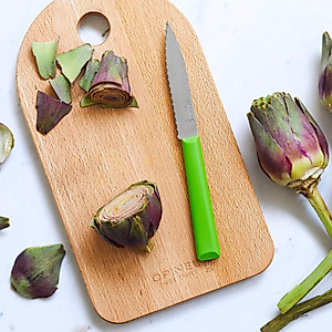 Opinel Les Essentials+ No. 313 Serrated Paring Knife, Corrosion Resistant + Dishwasher Safe, Made in France, Blue