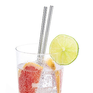 Stainless Steel Straws - Set of 10