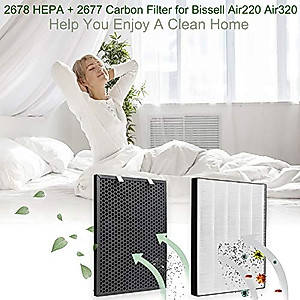 FFsign 2678 Replacement High Efficiency HEPA Filter + 2677 Actived Carbon Filter for Bissell Air220 Air320, 1 True HEPA Pre-Filter & 1 Carbon Filter