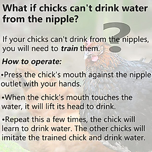 VandanCoop Chicken Waterer Nipples Automatic Poultry Watering Nipples (35)