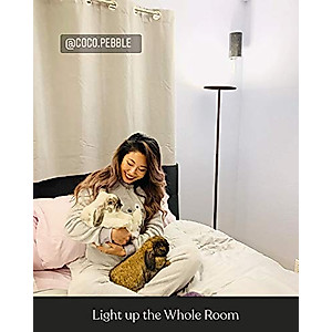 Brightech Sky LED Floor lamp, Torchiere Super Bright Floor Lamp for Living Rooms & Offices - Dimmable, Tall Standing Lamp for Bedroom Reading - Black Chrome