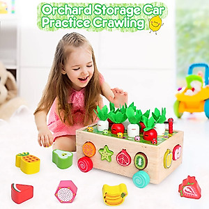 INSOON Montessori Toys for 1 2 3 4 Year Old Boy Girl,Wooden Educational Toy Multifunctional Orchard Car Toys Catching Worm Shape Sorting Carrot Harvest Learning Toys Gifts for Toddlers