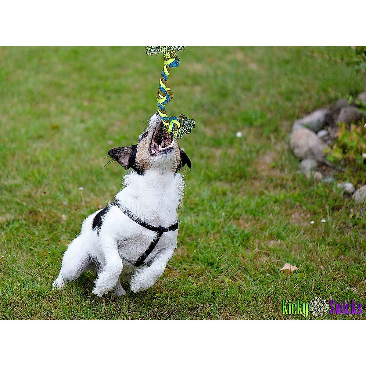 CHEW-STOP-DENTAL Puppy Dog Pet Rope Toys Stops Small Dogs and Teething Puppies from Destroying Your Stuff (Set of 4)