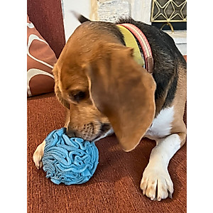 Glory To Dog Puppy and Small Breed Snuffle Interactive Foraging Dog Puzzle Ball Toy Blue